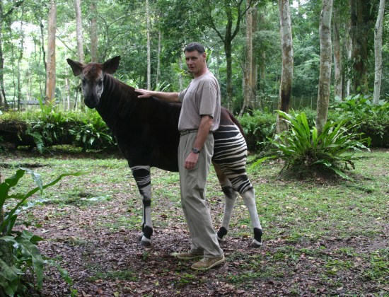 Legends and Legacies of Conservation in Africa