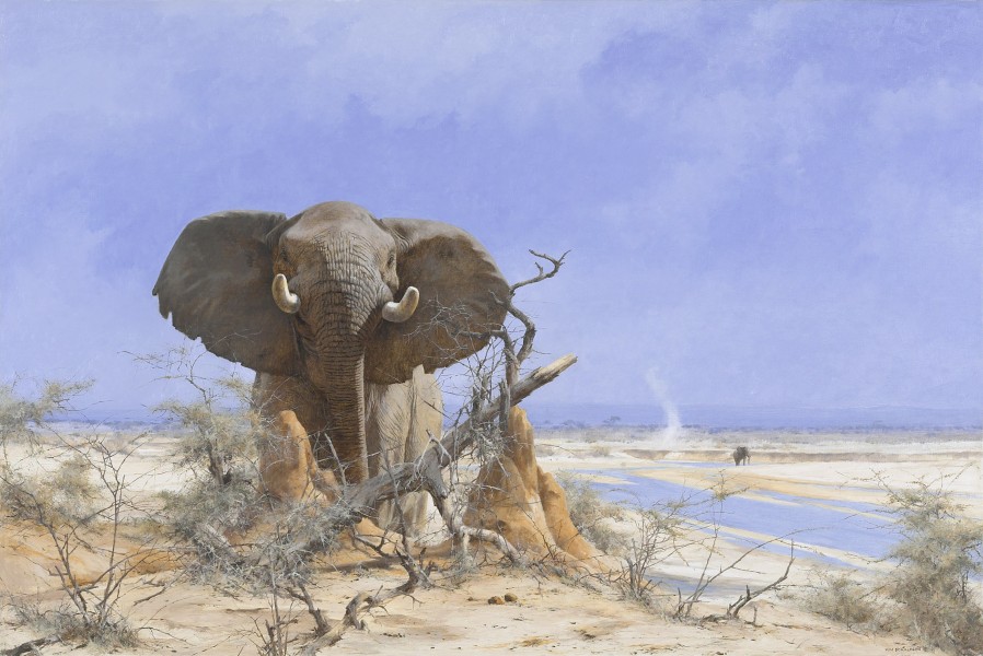 Legends and Legacies of Conservation in Africa