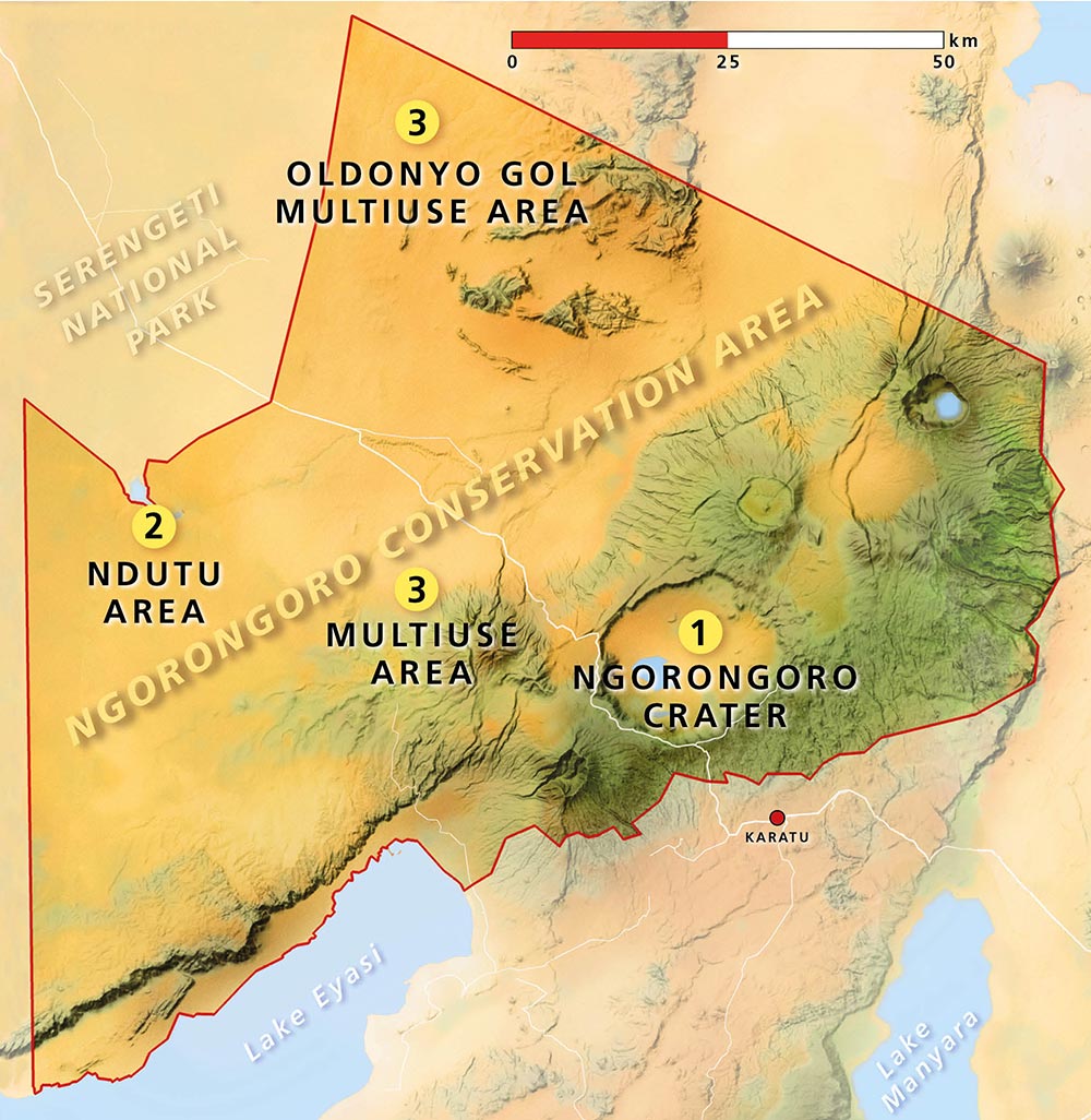 Legends and Legacies of Conservation in Africa