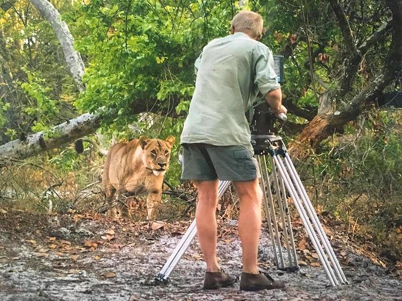 Legends and Legacies of Conservation in Africa