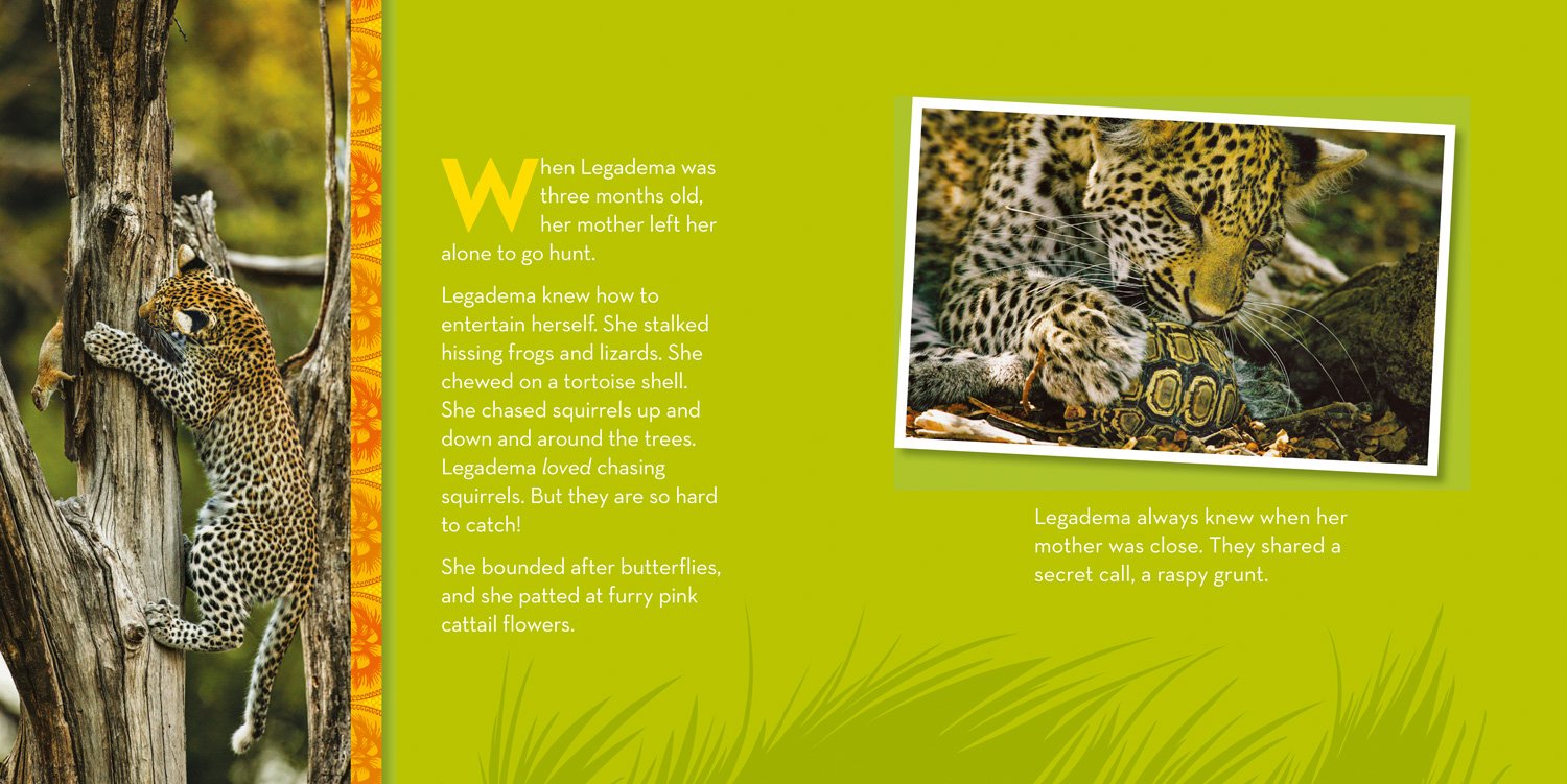 Legends and Legacies of Conservation in Africa