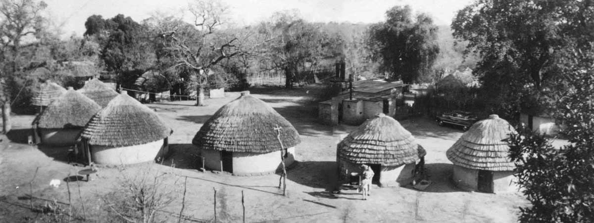 Legends and Legacies of Conservation in Africa