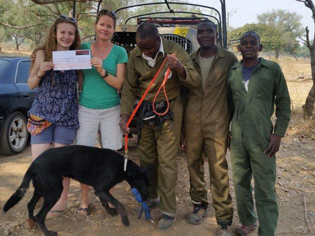 Legends and Legacies of Conservation in Africa