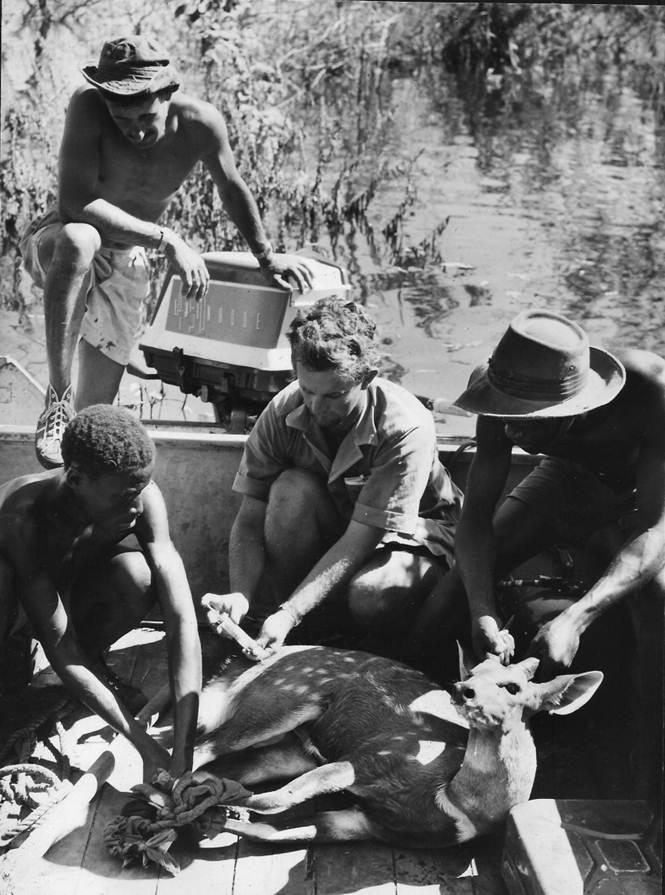 Legends and Legacies of Conservation in Africa