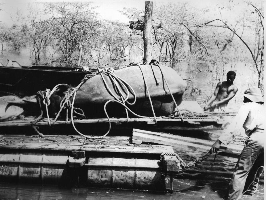 Legends and Legacies of Conservation in Africa