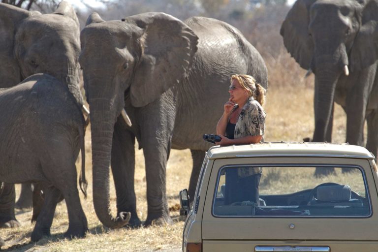 Legends and Legacies of Conservation in Africa