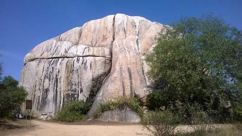 Legends and Legacies of Conservation in Africa